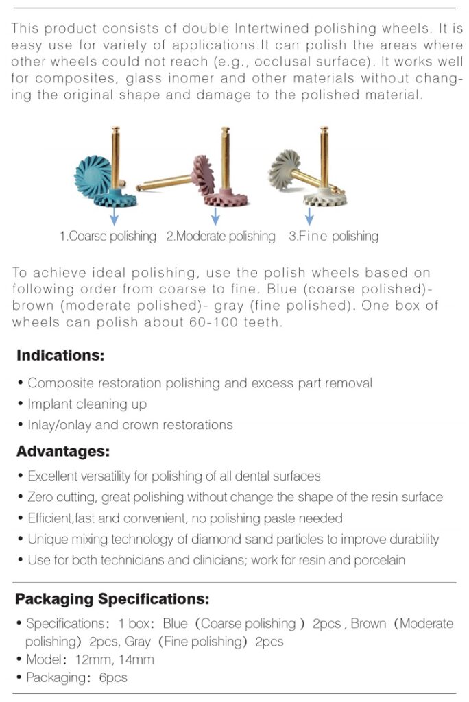 Polishing System
